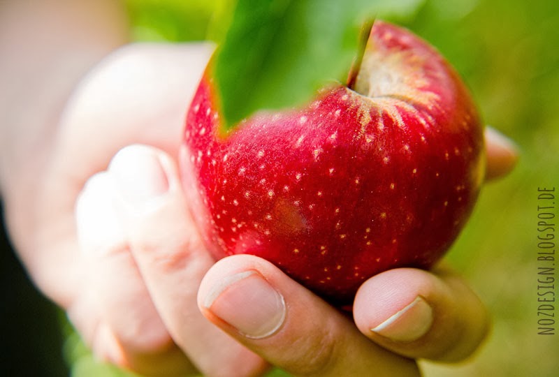 Glücksmomente: Oktober 2013