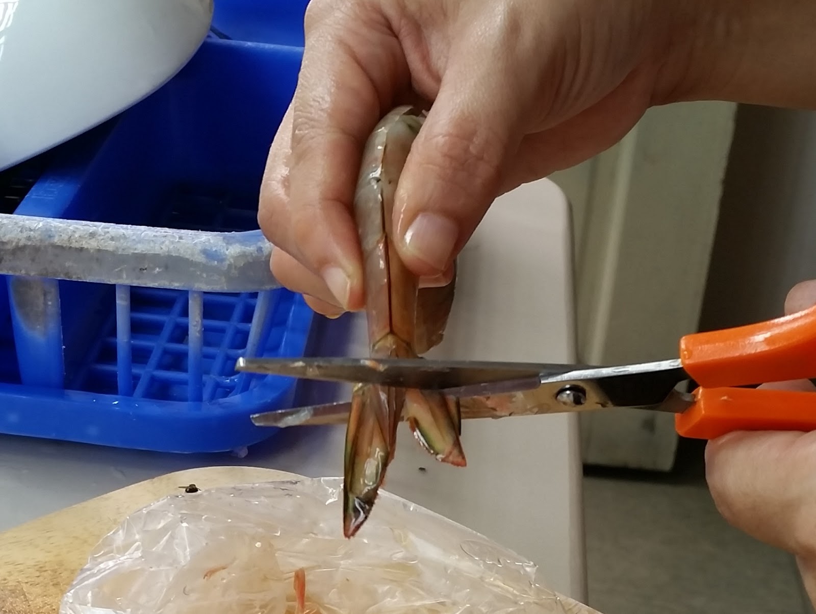 The Informal Chef: How To Clean and Devein Shrimp (With Shell On)