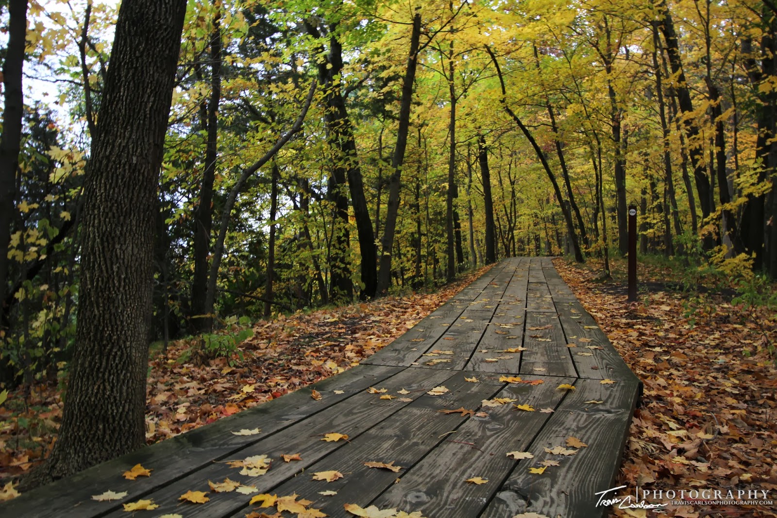 Travis Carlson Photography: Blog: 10/16/13 Starved Rock Fall Foliage: 2013