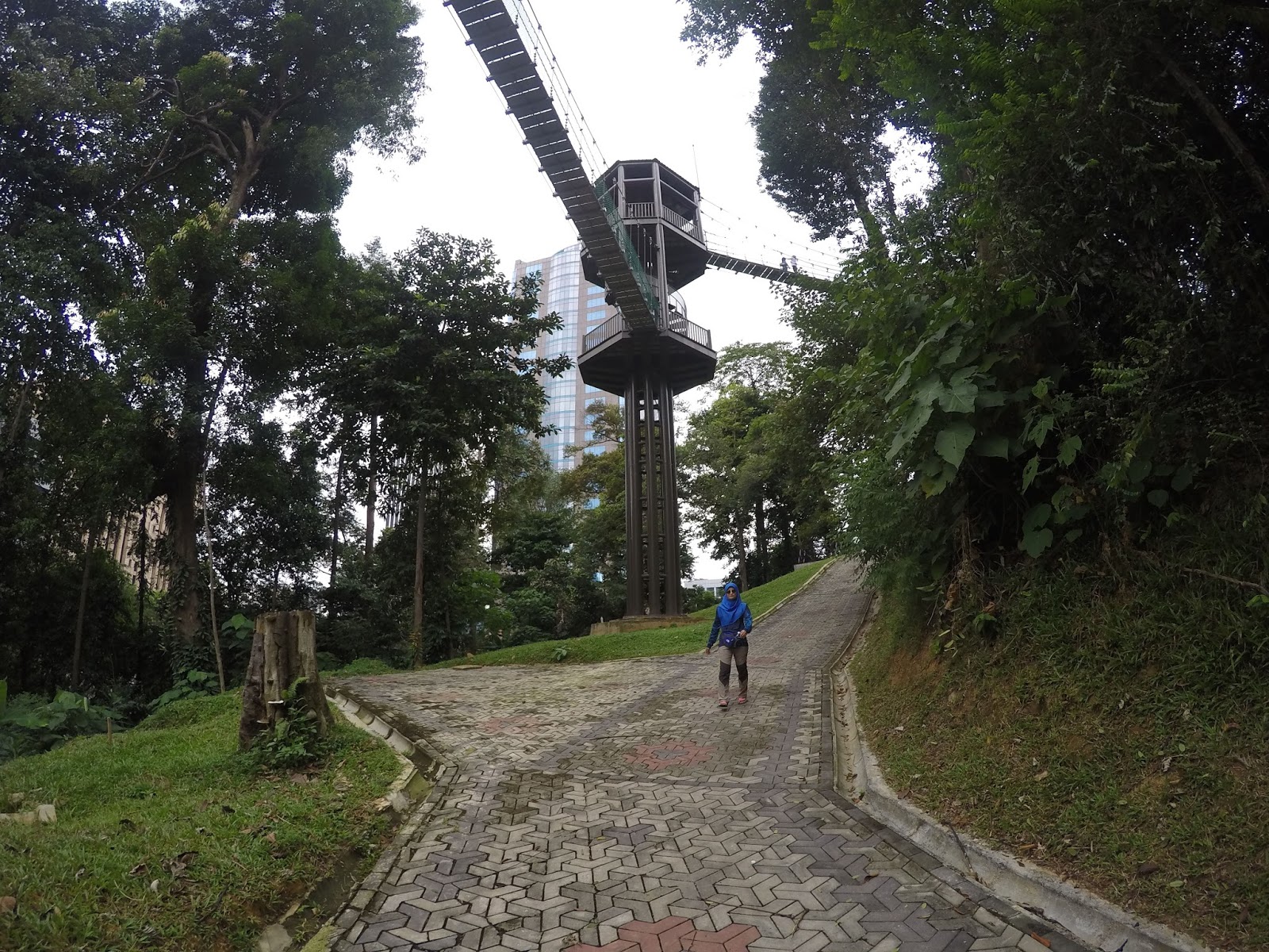 Canopy Walk KL Forest Eco Park!