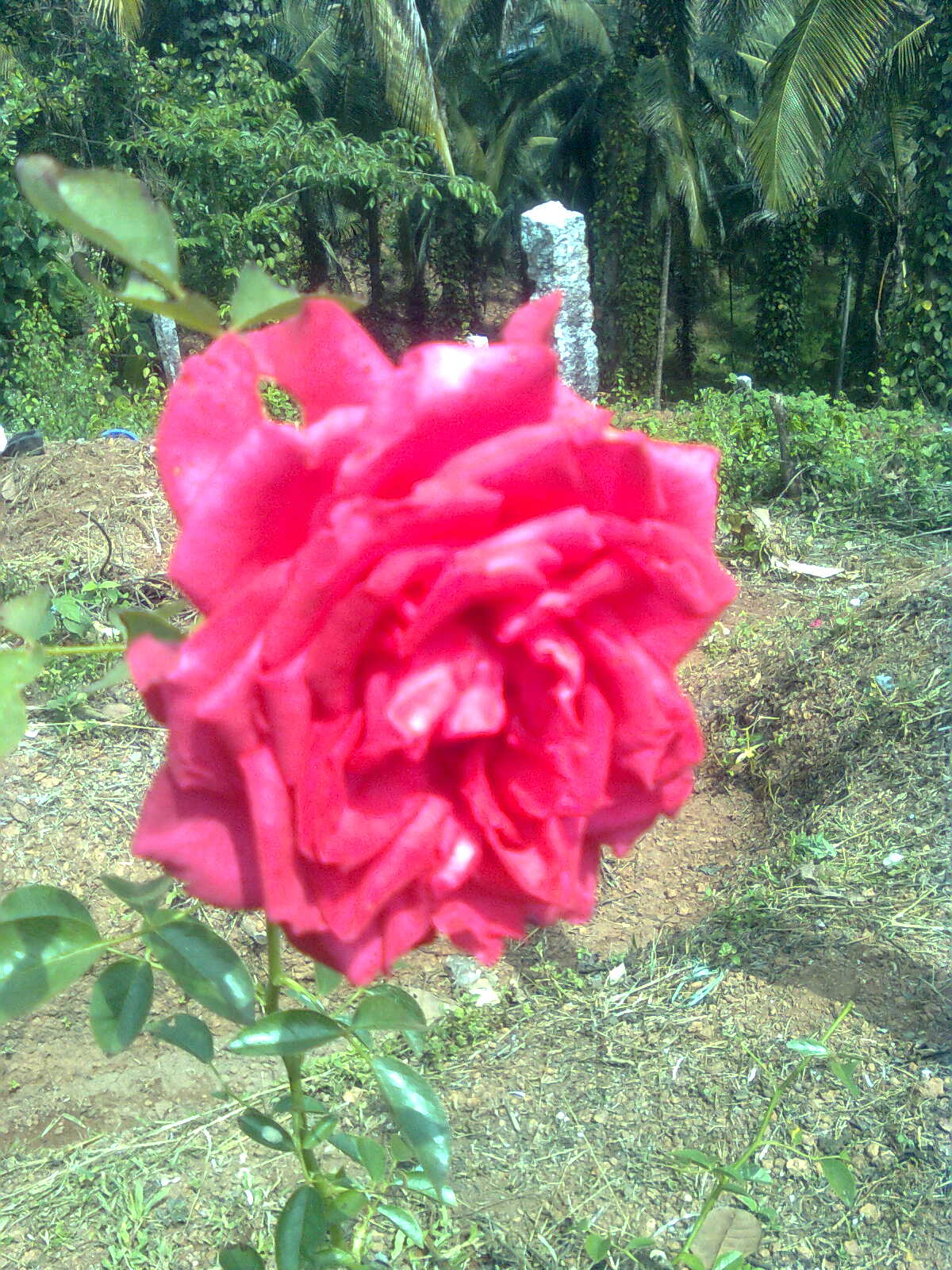 beauty meets quality
