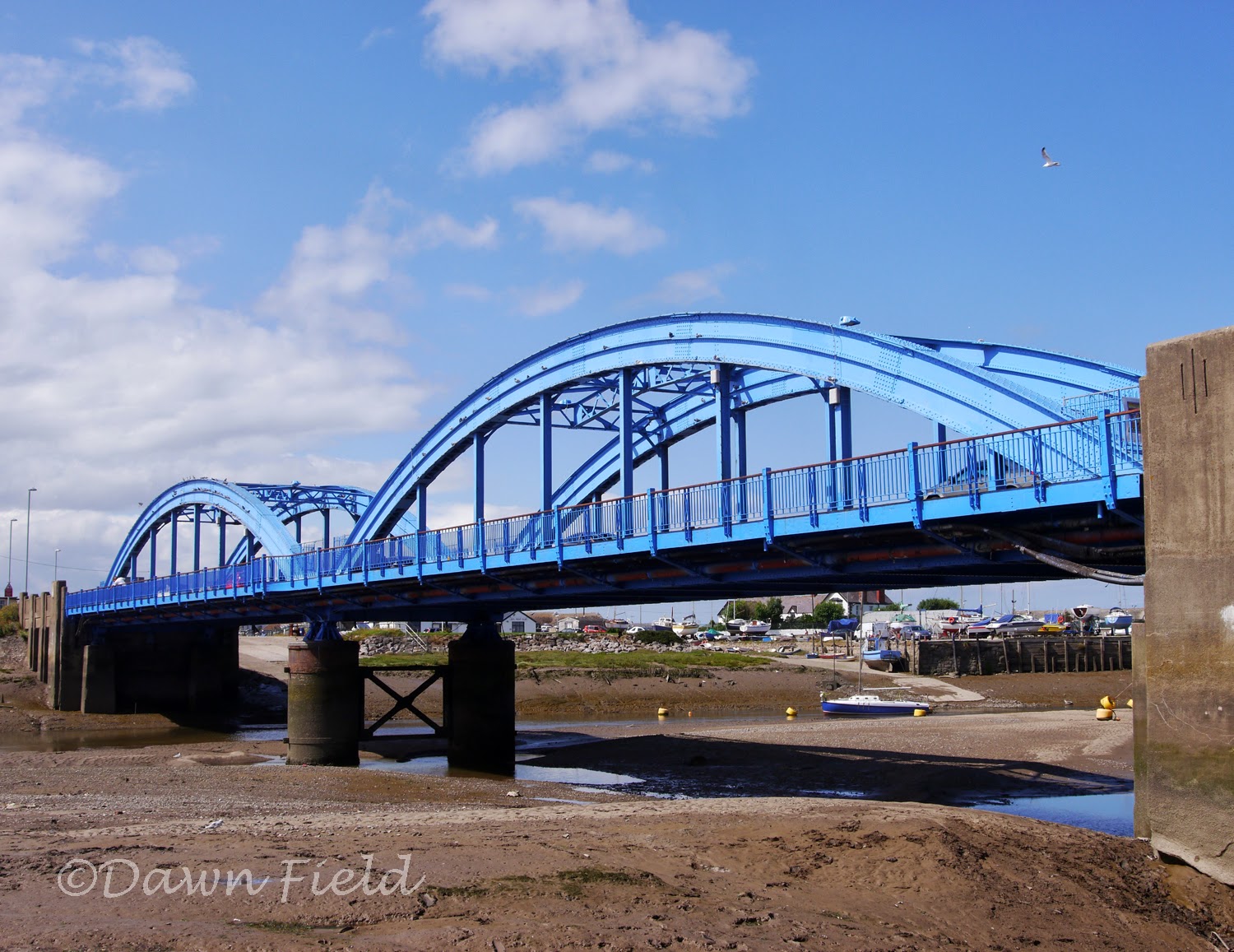 The Phoenix has risen from the ashes.: Rhyl - 16.8.2013