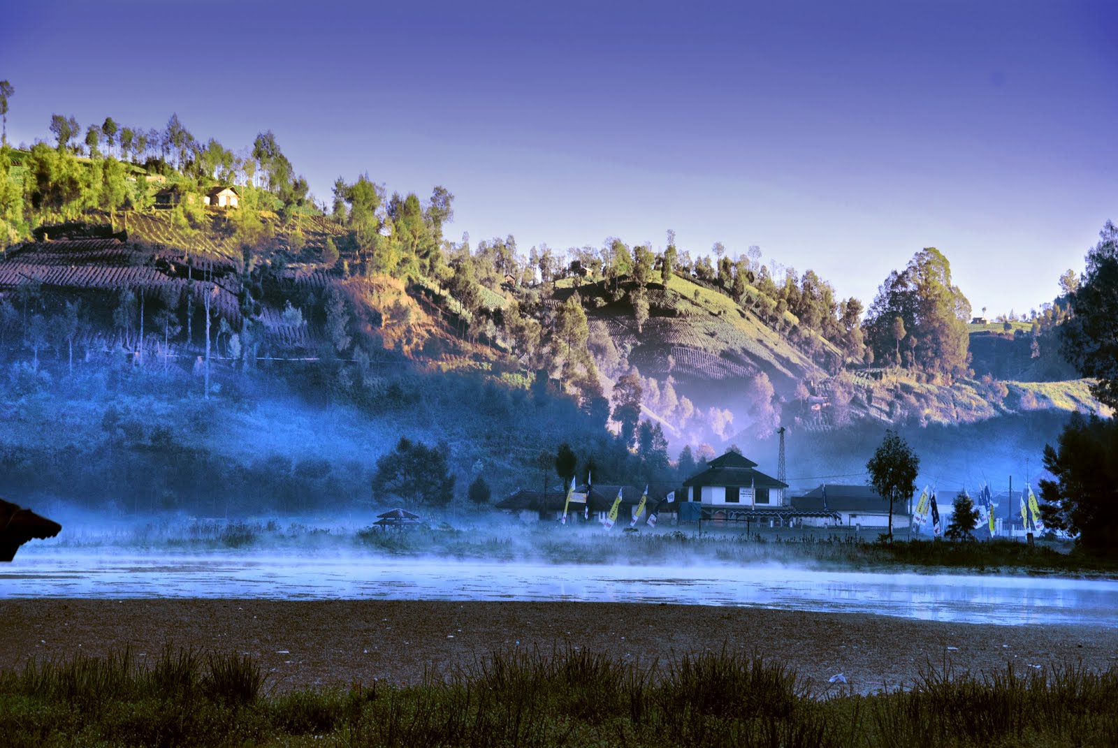 Arts Photographer: Ranu Regulo