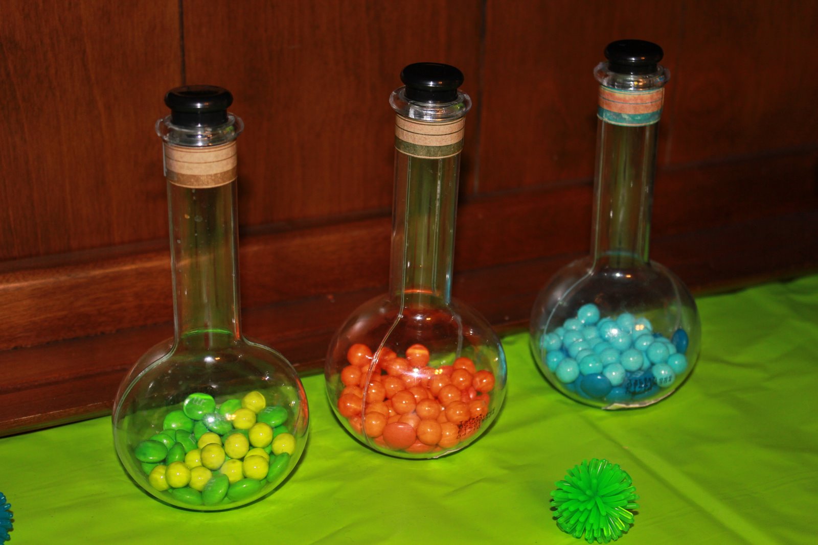 THE MUDDY PRINCESS: Science Birthday Party