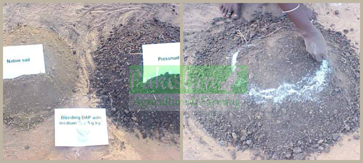 Status of Biofertilizers in Pakistan: Their Application Methods and ...