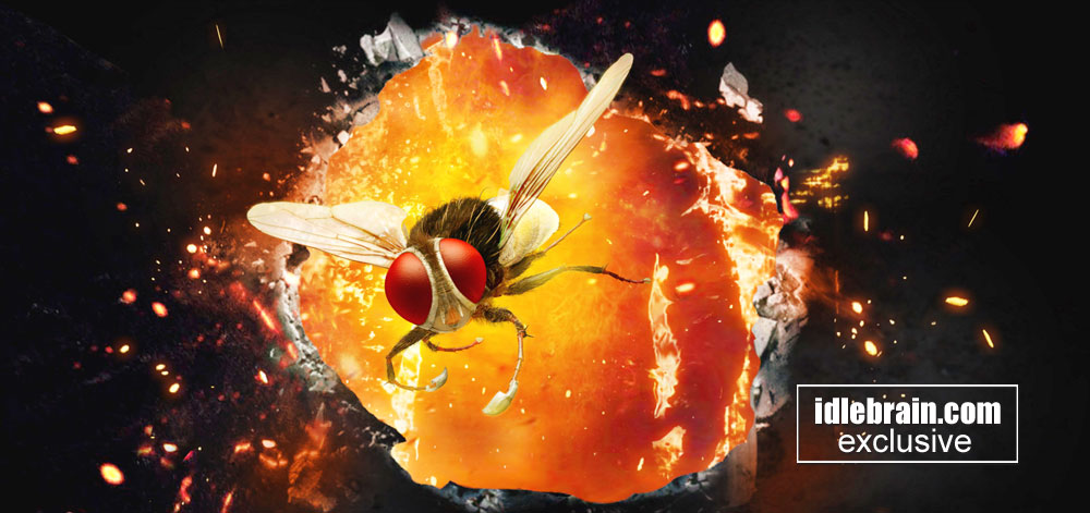 Intellectual and Aesthetic Cinema Feel: EEGA MOVIE REVIEW