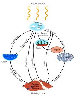 Ekosistem, Aliran Energi, Siklus Materi dan AliranMateri dalam ...