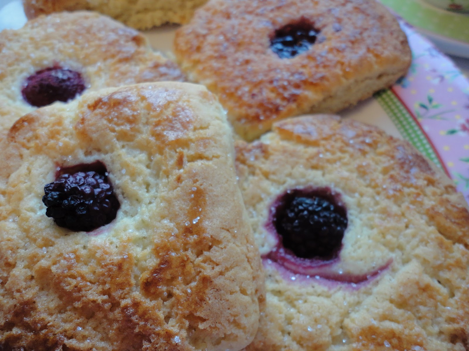 Babaduck: Retro Raspberry Buns