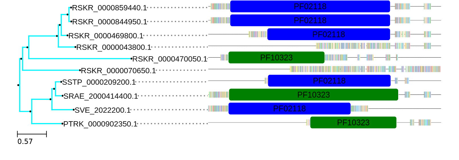 avrilomics: Plotting a phylogenetic tree with the alignment, using ete2 / ete3