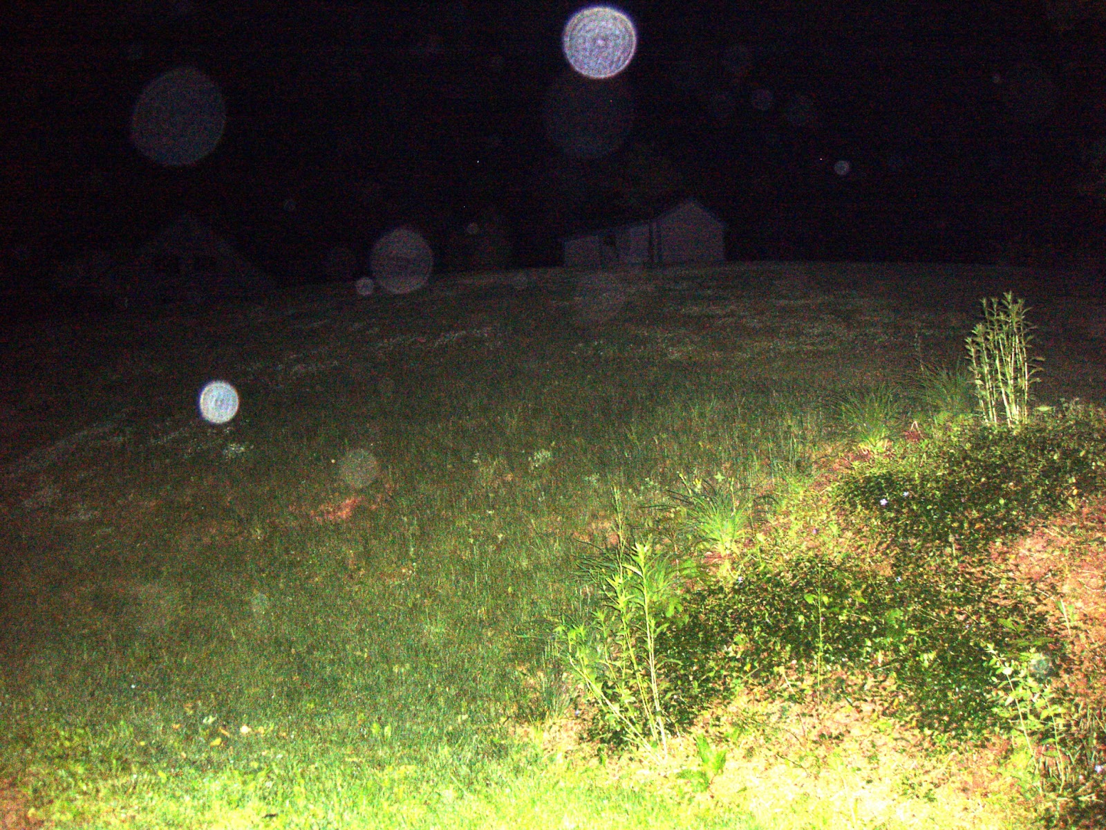 Vortex Vortexes Vortices | what the phenomena