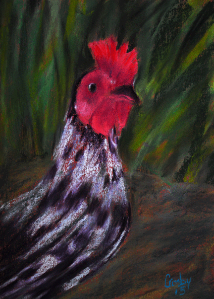 Crosbys Life Paintings: Adolescent Rooster