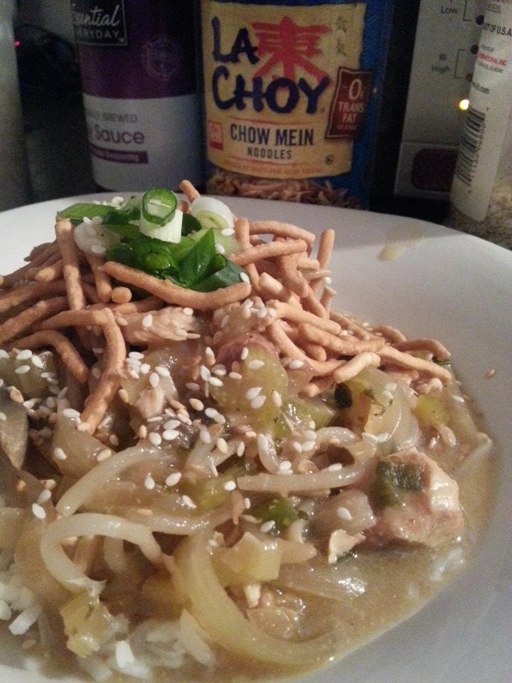 A Busy Mom's Slow Cooker Adventures: Crock Pot Chicken Chow Mein ala ...