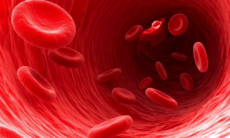 Apa Itu Eritrosit: Pengertian dan Fungsinya