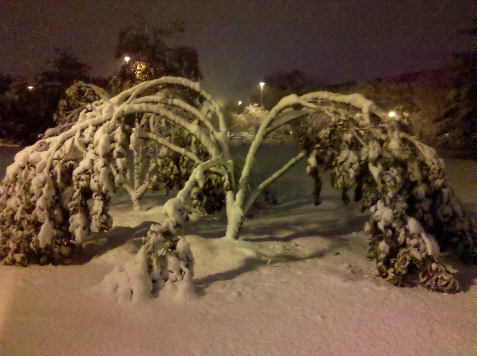 Sad City Hartford: October Snow