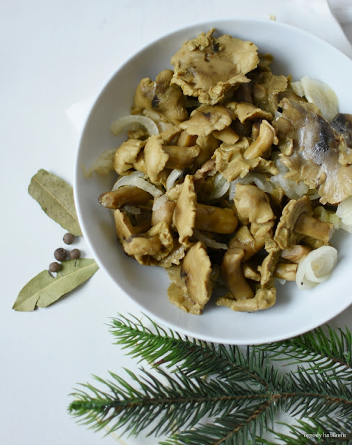 ogrody babilonu: kiszone gąski zielone