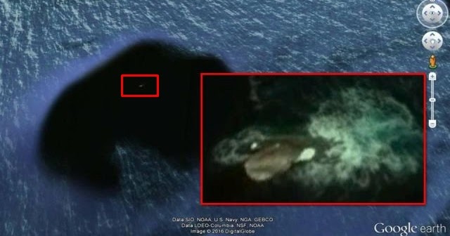 Weird Sea Creature “Underwater UFO?” near Antarctica discovered on ...