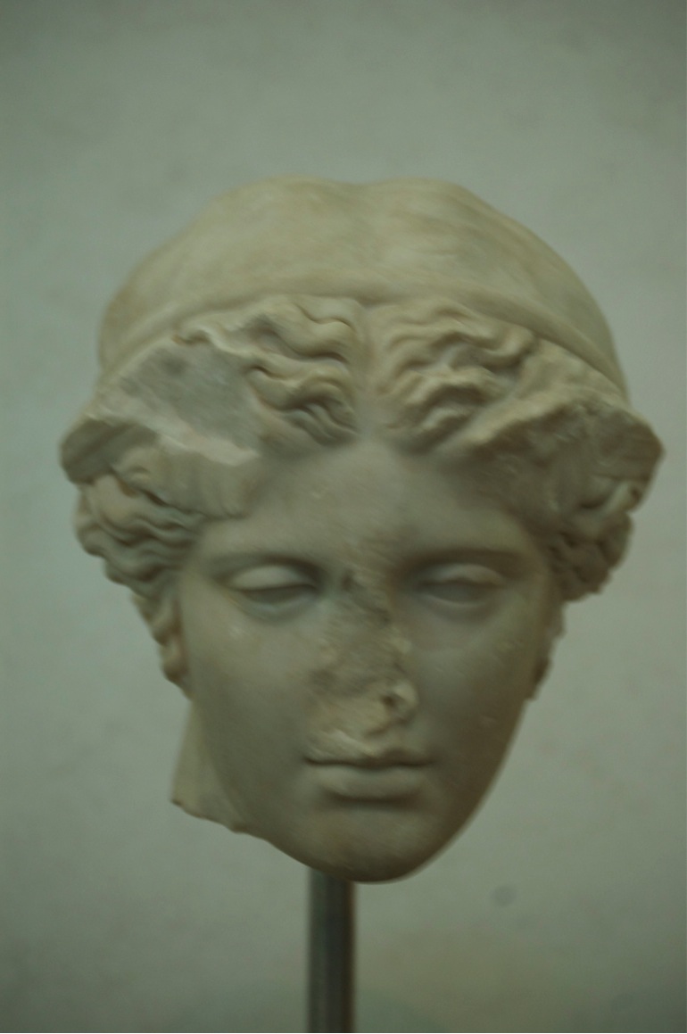 Astrology Wheel: Venus Come Out Of Your Shell