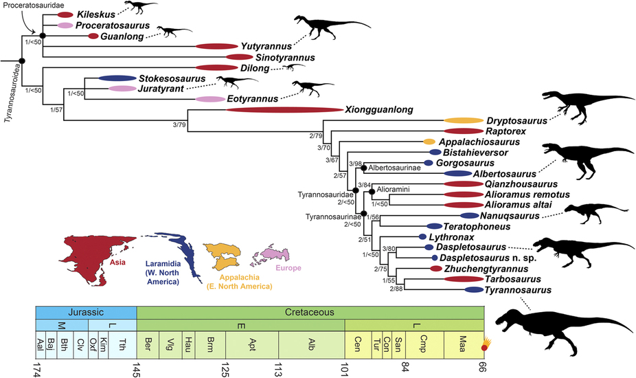 Paleontología y Evolución en la UCM: La historia evolutiva del ...