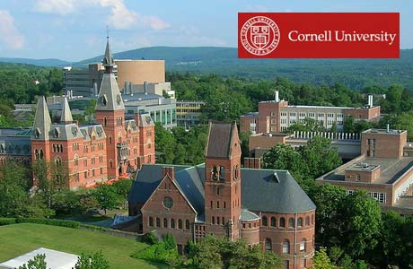 International Undergraduates Scholarships from Cornell University,USA