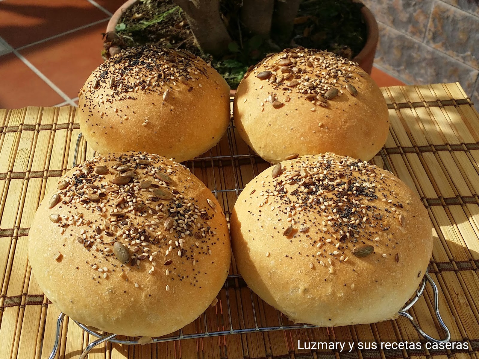Luzmary y sus recetas caseras: PANES CON SEMILLAS (THERMOMIX)