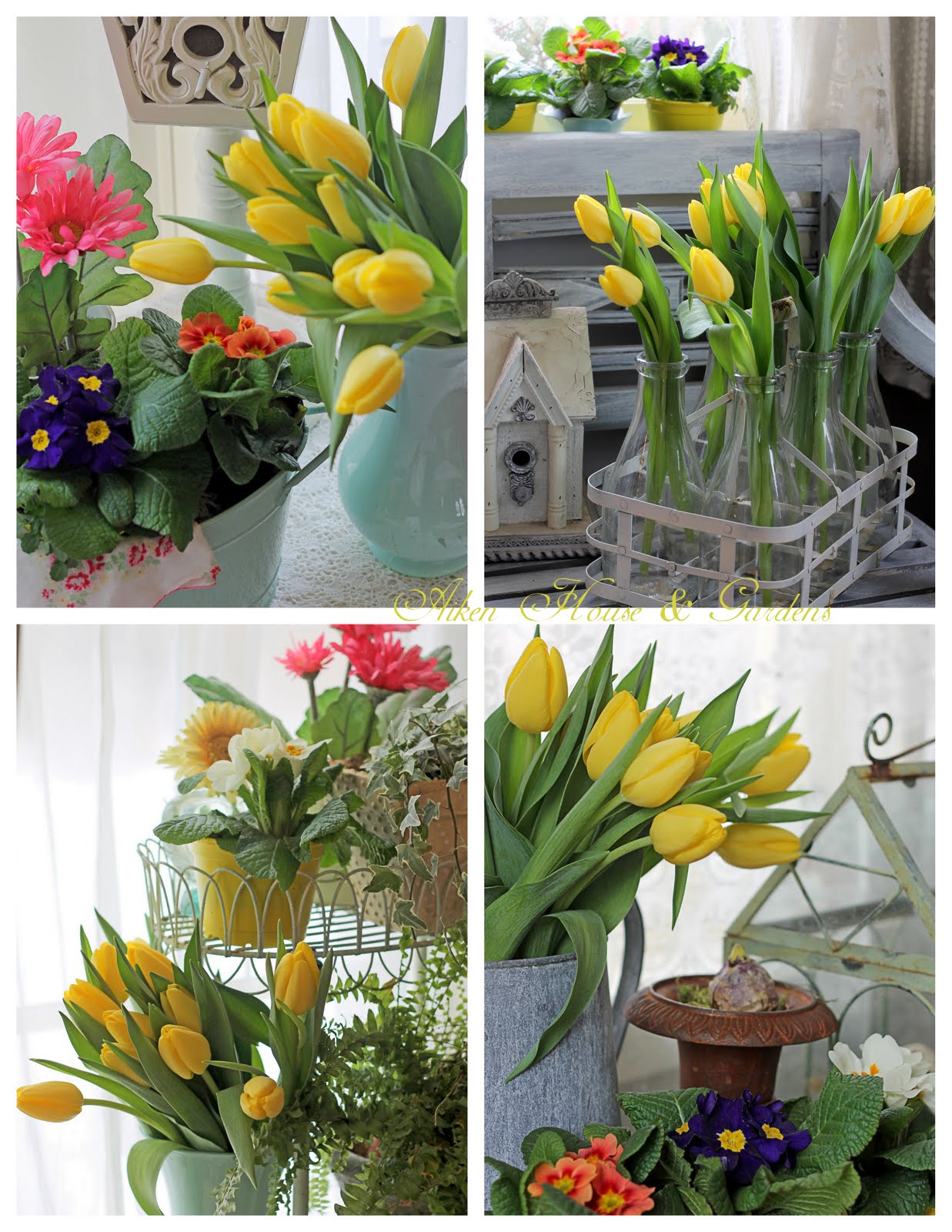 Aiken House & Gardens: Indoor Spring Garden