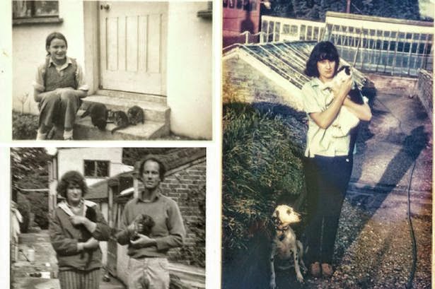 Conoce a Ann Knowles, la mujer que salvó niños y animales después de la ...