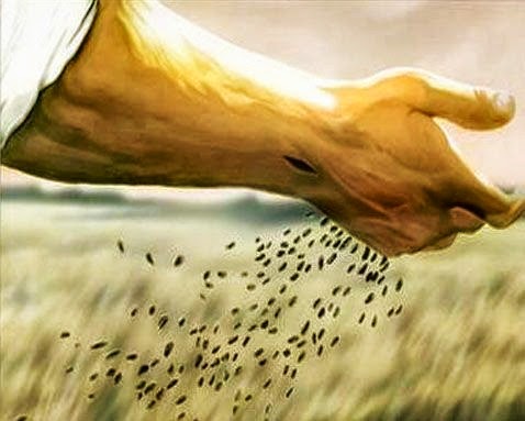 Into Your Hands: Zaad van Hoop