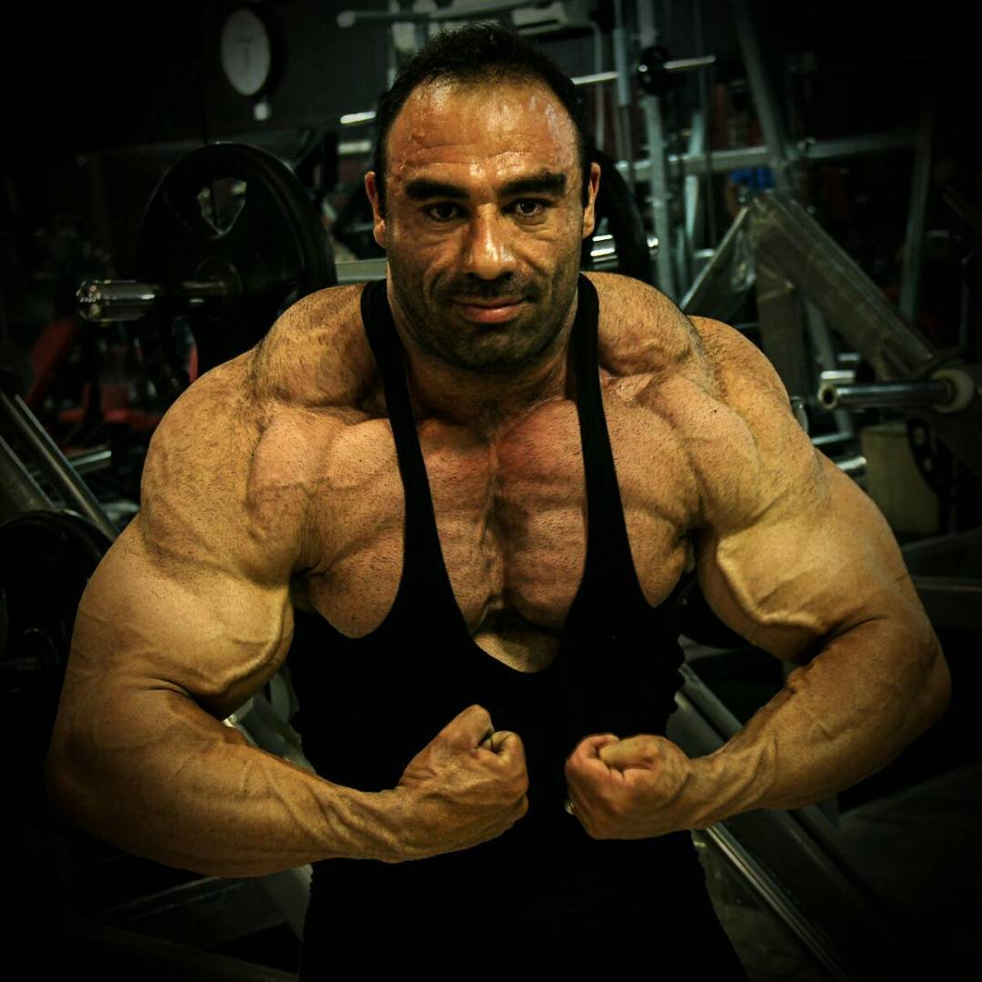 Muscle Lover: Muscle Kings of Persia (2)