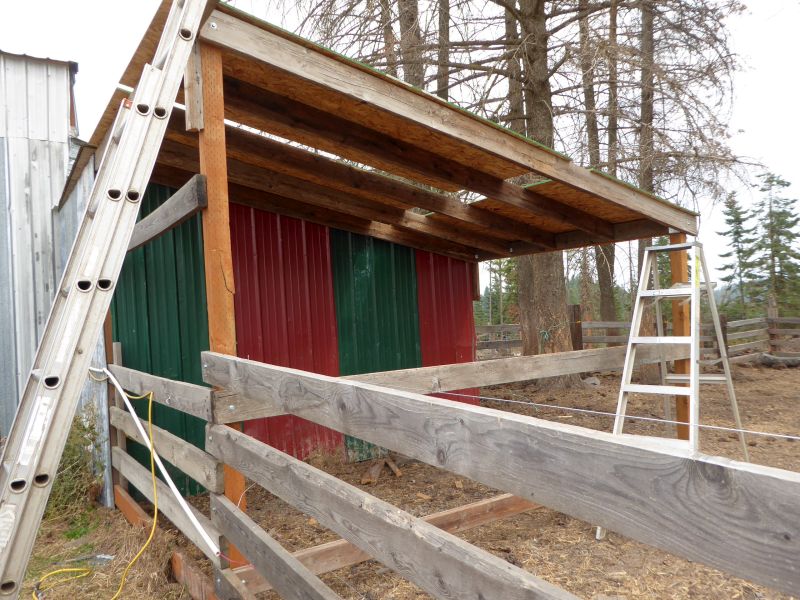 Rural Revolution: Building a bull shed annex