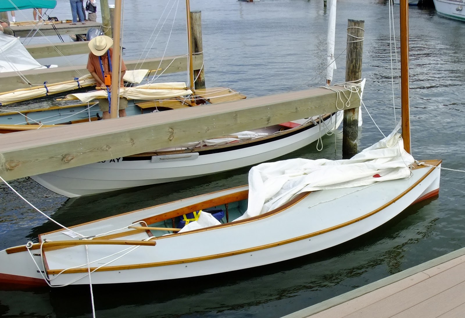 Earwigoagin: A Cricket Dinghy Uncovered!