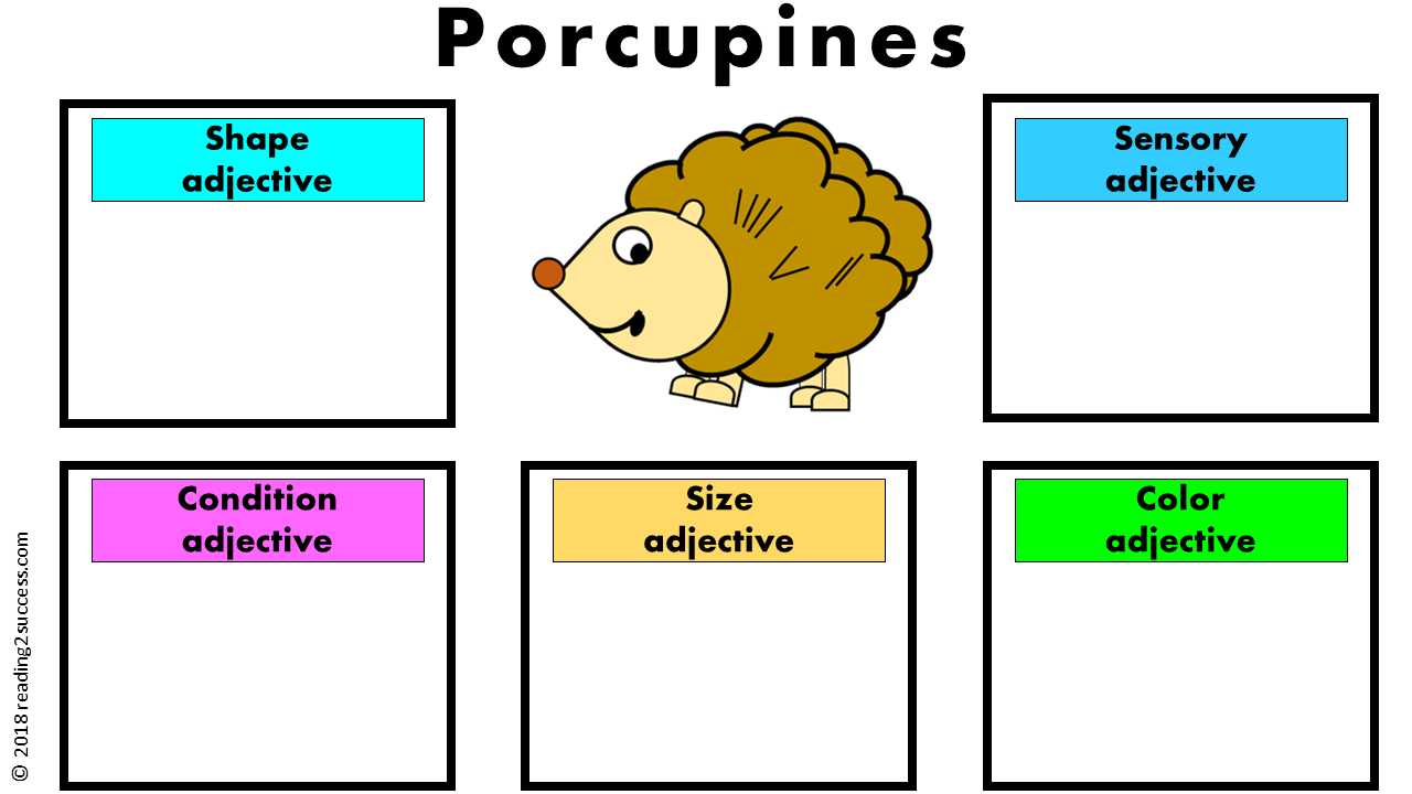 Reading2success: Introduce shape, size, sensory, condition and color ...