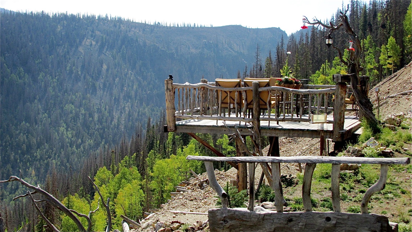 Travel With Whippets: Creede, Colorado --- The Bachelor Loop