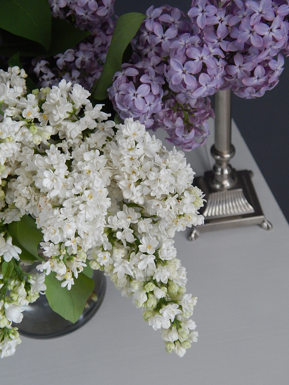 Mirisni jorgovan - My charming house No 6