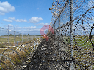 Jual Kawat Duri Galvanis, Info Harga Kawat Duri Tahan Karat Harga ...