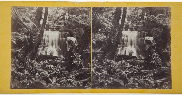 Thomas J. Nevin | Tasmanian Photographer: Samuel Clifford, Thomas Nevin ...