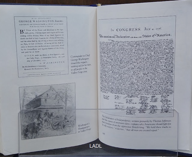 Living A Doll's Life : *FEATURE* Review - Dear America: The Winter of ...