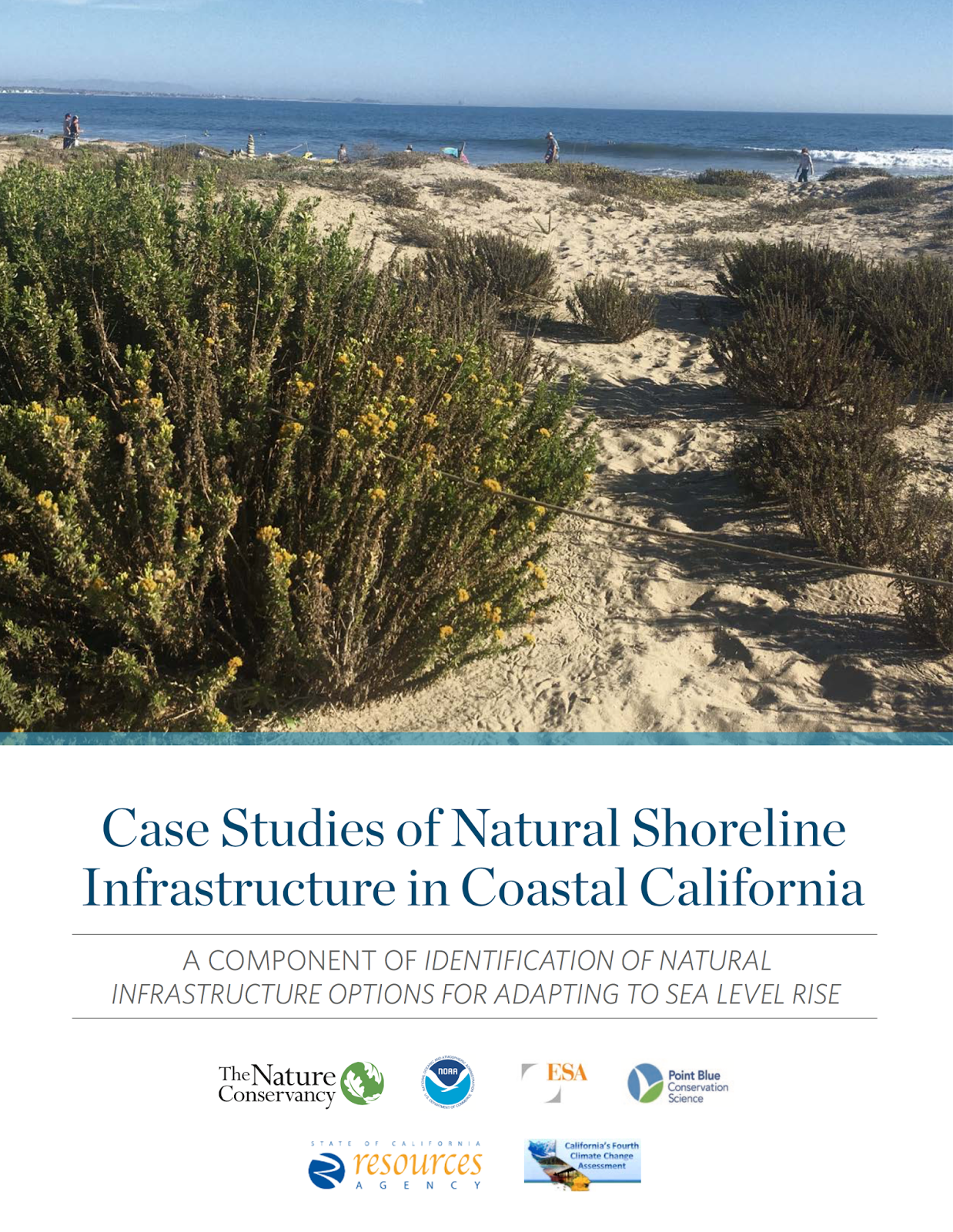 Ventura River Ecosystem: Natural Shoreline Case Study