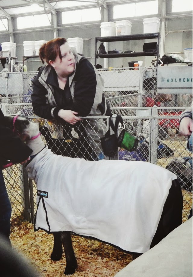 Stephanie Michelle 2/49 | GlitznGrits.com