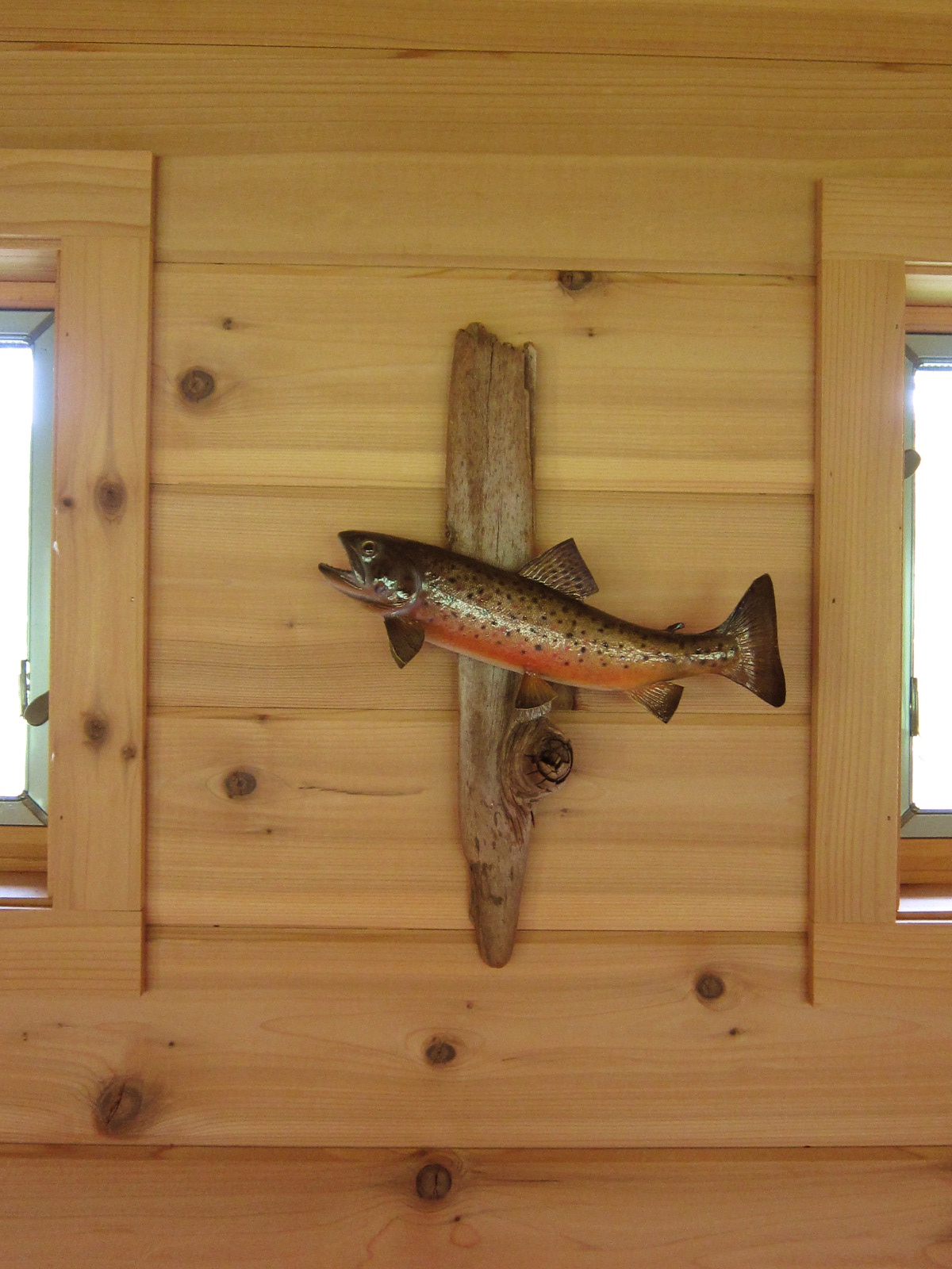 The William Brown Project: THE CABIN AT WM BROWN FARM