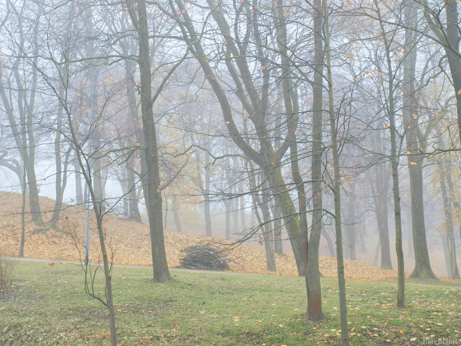 Rudens 5 - PhotoBlogSite