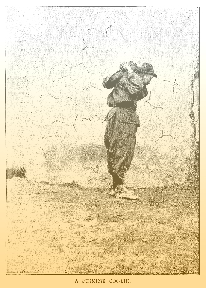 Miskatonic Debating Club & Literary Society: The Desperate Plight of ...