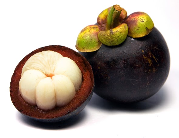 Sistema de Consulta GNC: Los Beneficios de la Garcinia