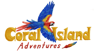 Exclusive Sale on Coral Island Adventures CD Sets - Limited Time Offer ...