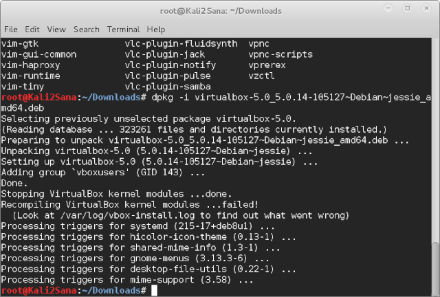 Kali linux virtualbox black screen underscore - coffeevolf