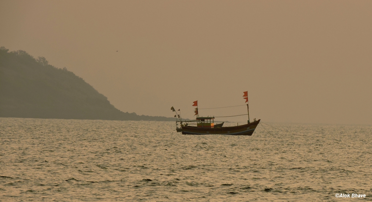 Nature watch: 2016-01-24-26-Kokan Trip