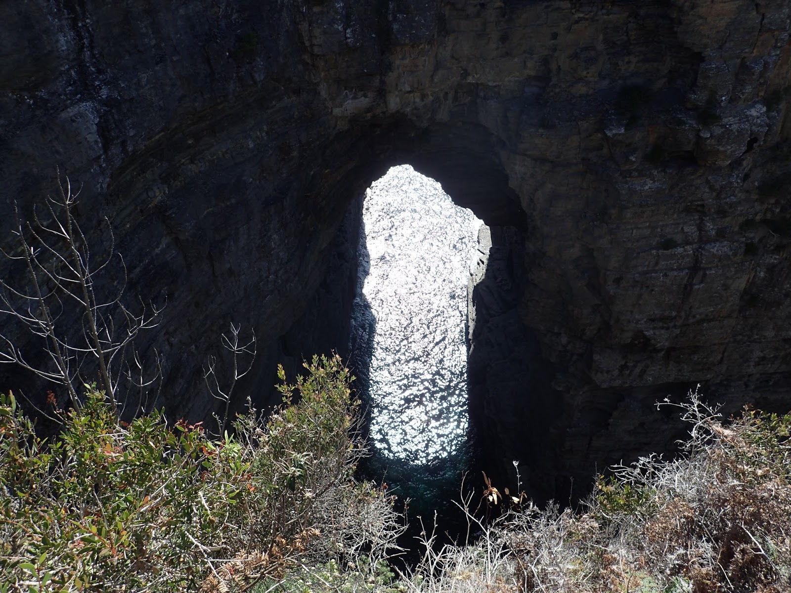 Waterfall Bluff | Hiking South East Tasmania