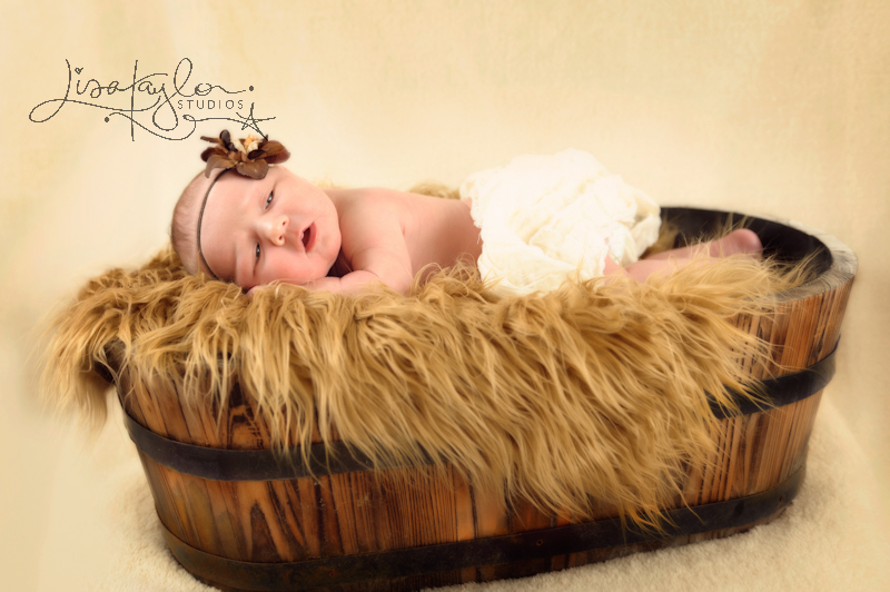 Lisa Taylor Studios | Utah Photographer