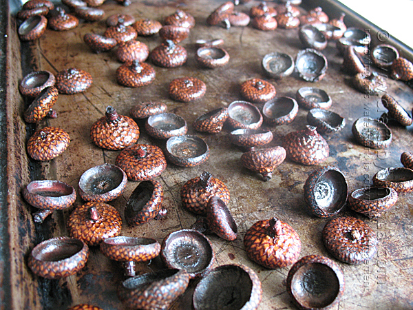 Acorn Picture Frames | Munchkins and Mayhem