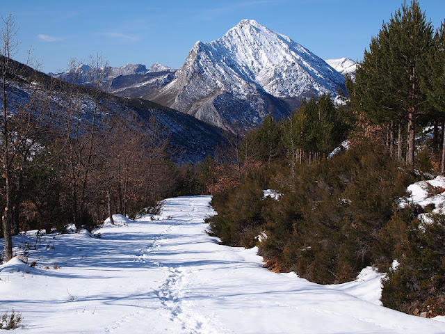 Cumbres de la Cordillera: peña la polinosa