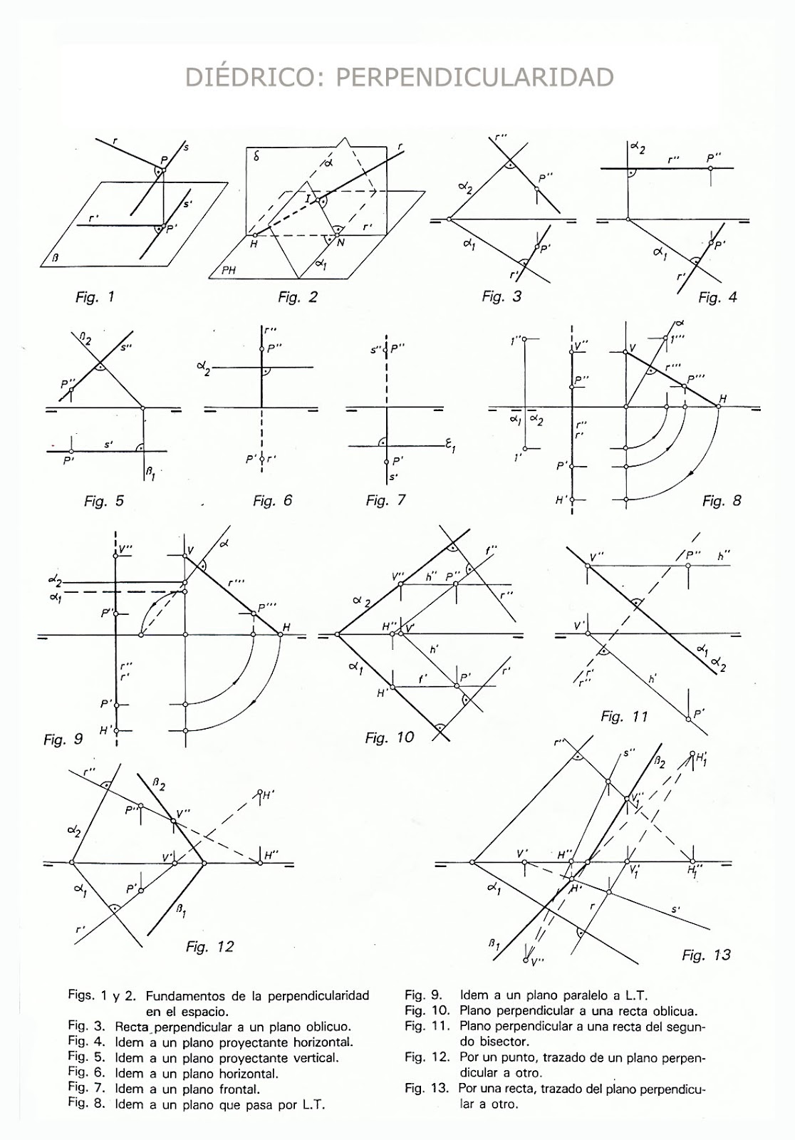 ENLACE "10 en dibujo"